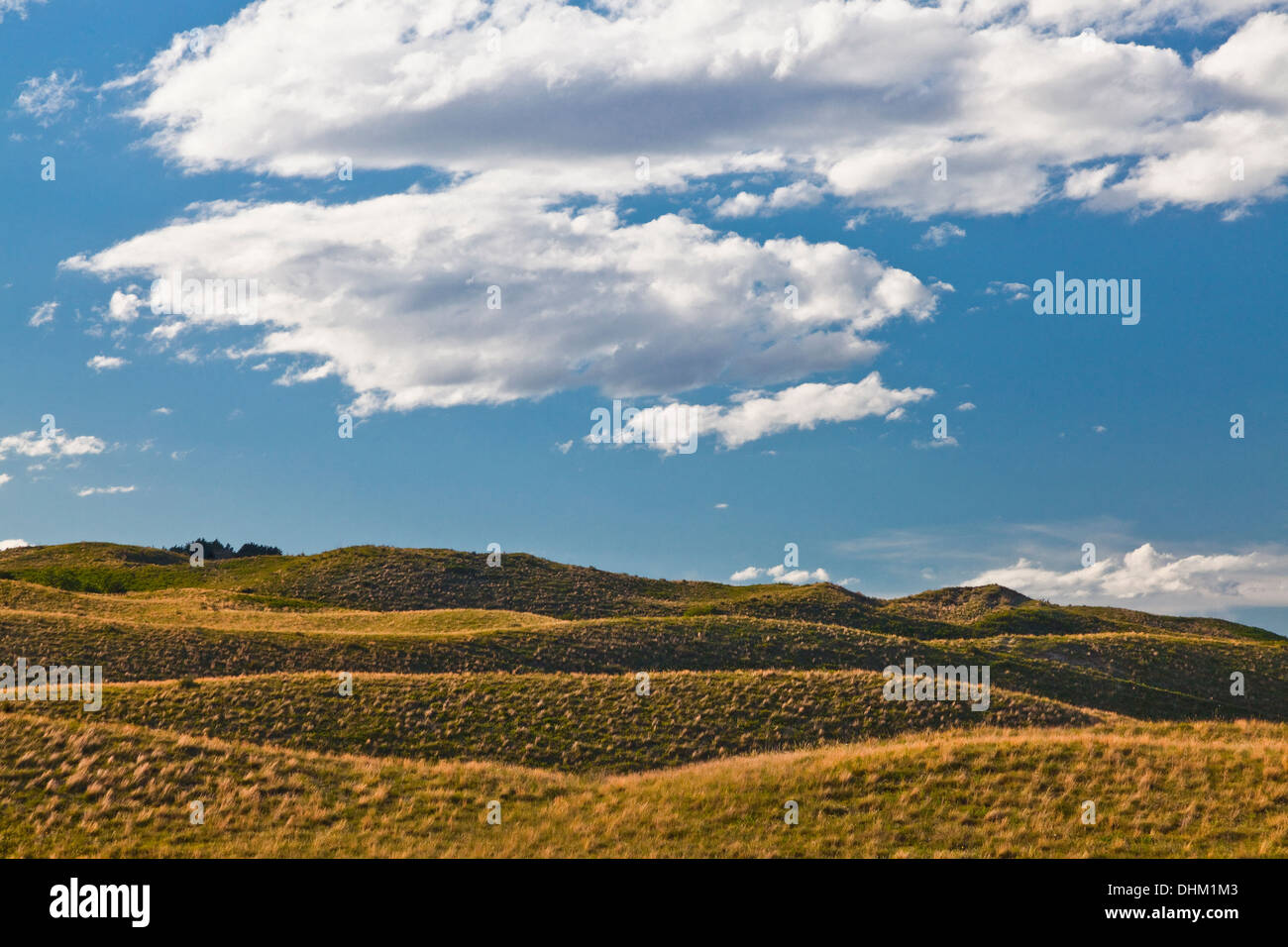 Grass-covered sand dunes rising above the Circle Road in the sandhills ...