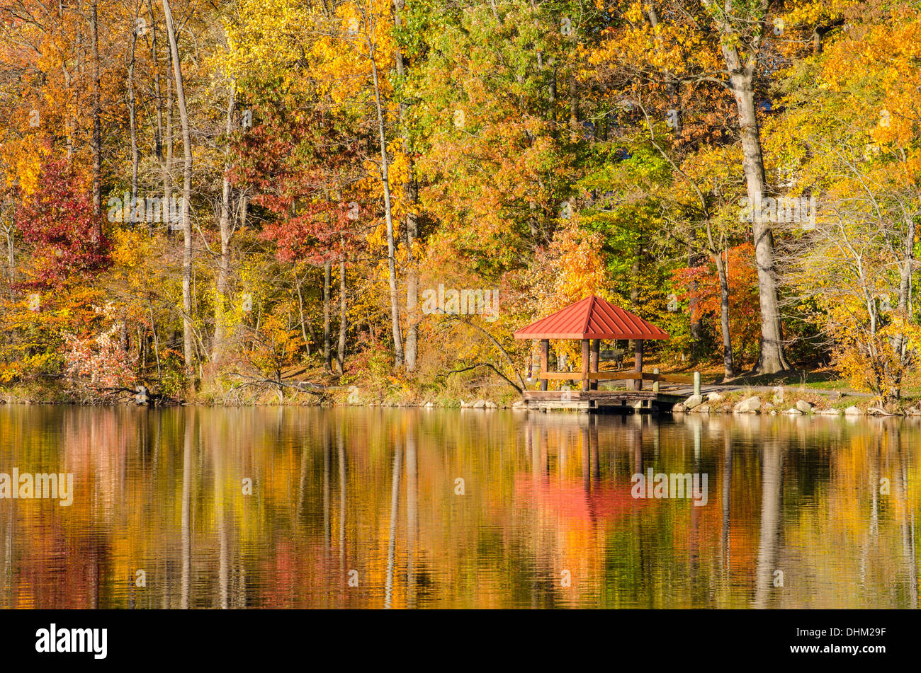 Elkhorn hi-res stock photography and images - Alamy