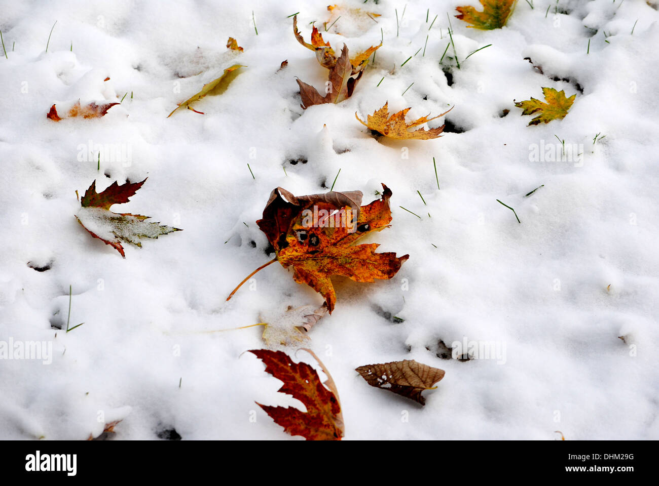 L0cale hi-res stock photography and images - Alamy