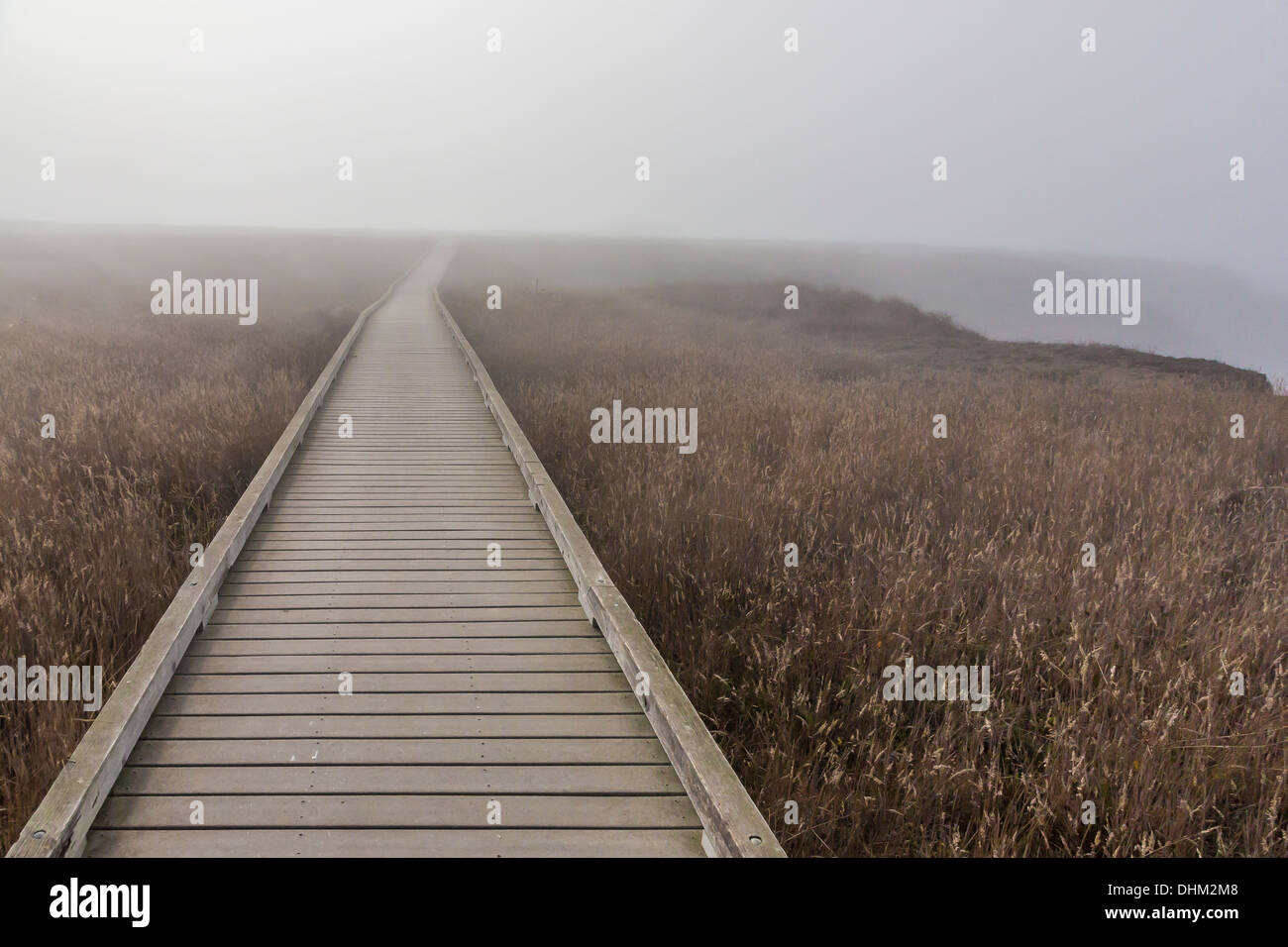 Laguna Point boardwalk in dense fog coming off the Pacific Ocean in ...