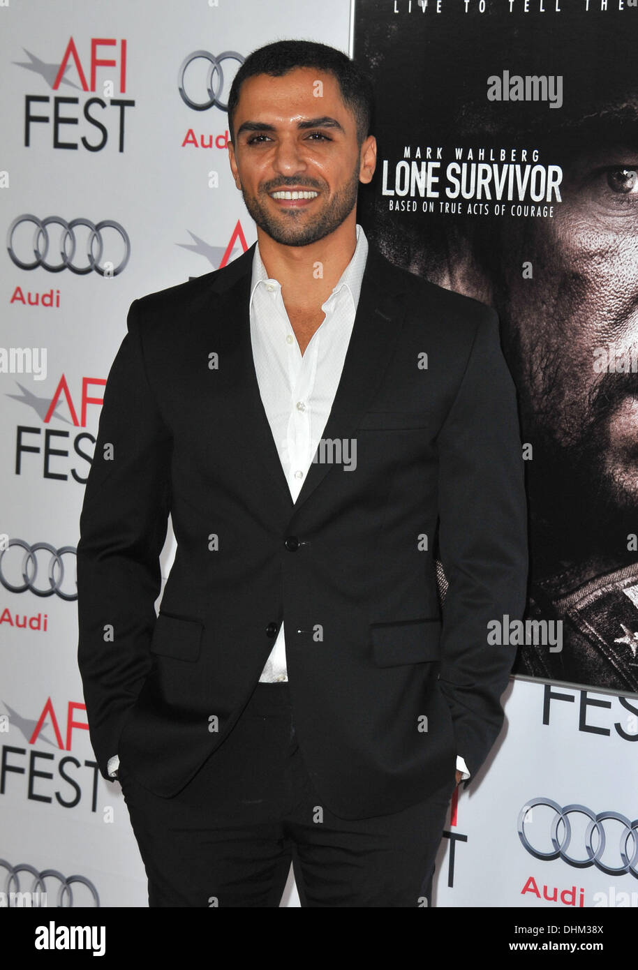 Los Angeles, California, USA. 12th Nov, 2013. Sammy Sheik attending The ...