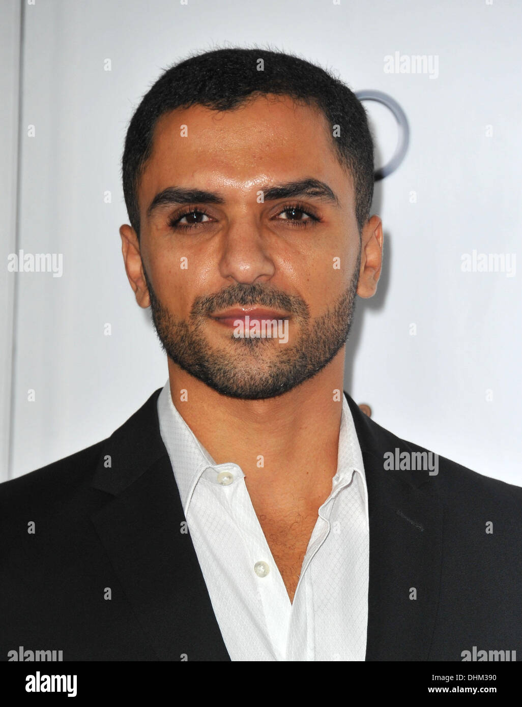 Los Angeles, California, USA. 12th Nov, 2013. Sammy Sheik attending The ...