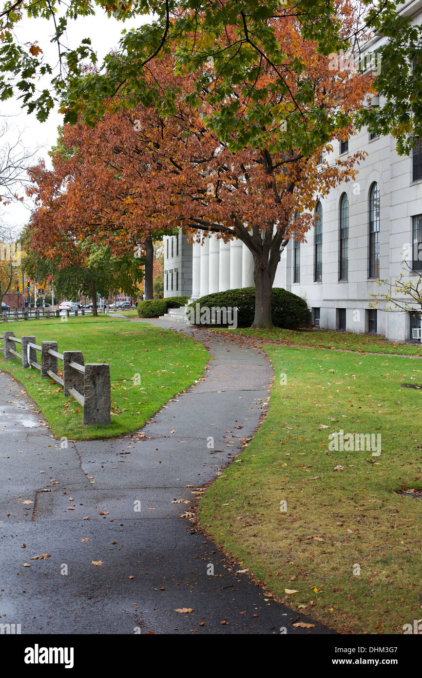 Littauer harvard hi-res stock photography and images - Alamy