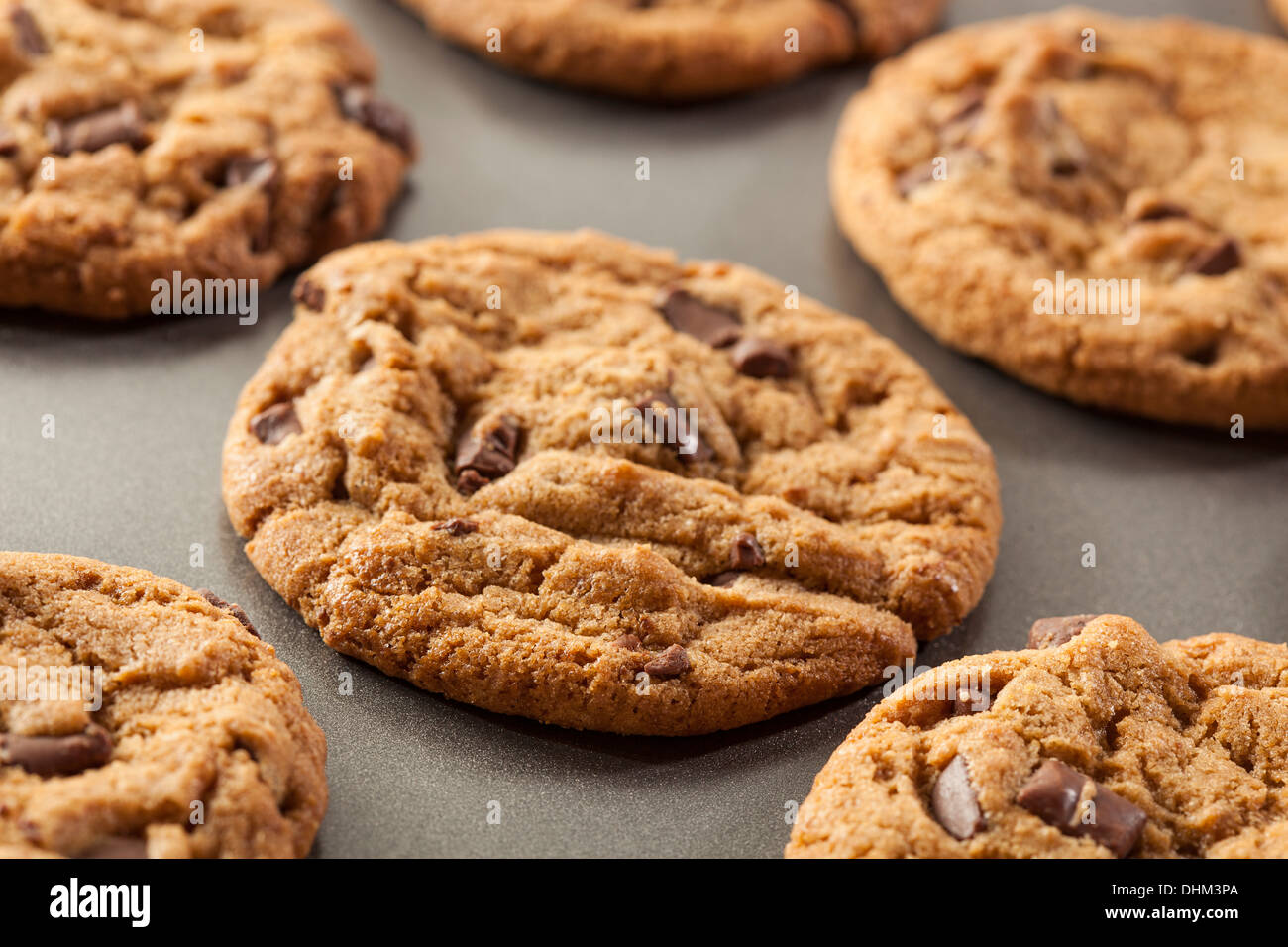 Homemade Chocolate Chip Cookies Ready to Eat Stock Photo - Alamy