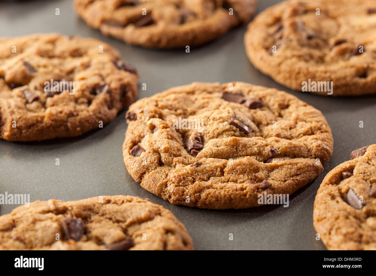 Homemade Chocolate Chip Cookies Ready to Eat Stock Photo - Alamy