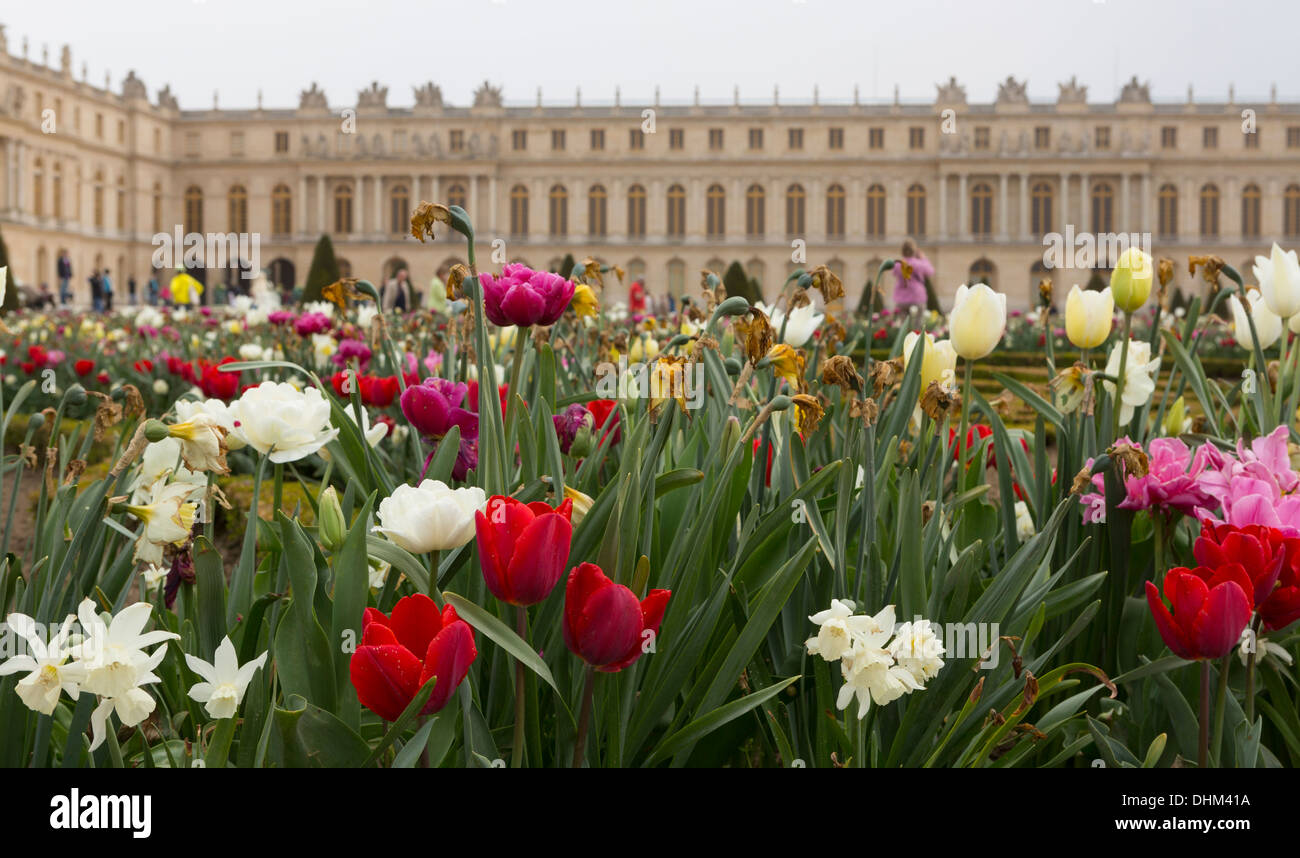 Flowers in the gardens of the palace of Versailles in Paris, France ...