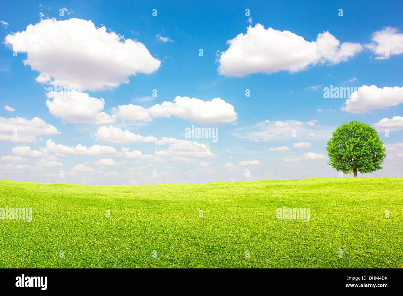 Green field and tree with blue sky and clouds Stock Photo - Alamy