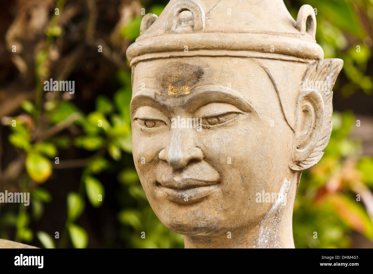 the face of hermit Stock Photo - Alamy