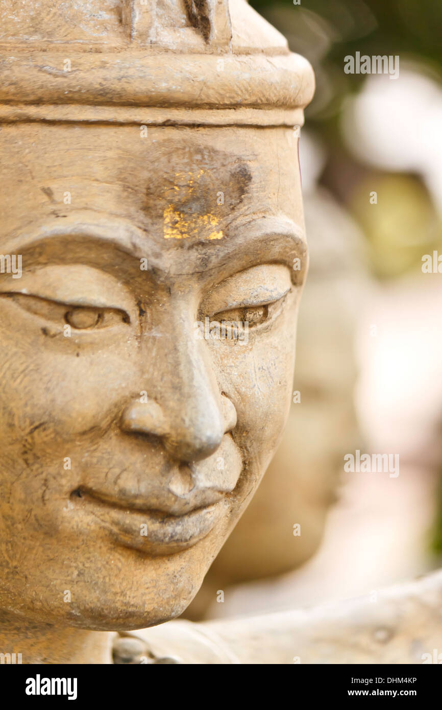 the face of hermit Stock Photo - Alamy