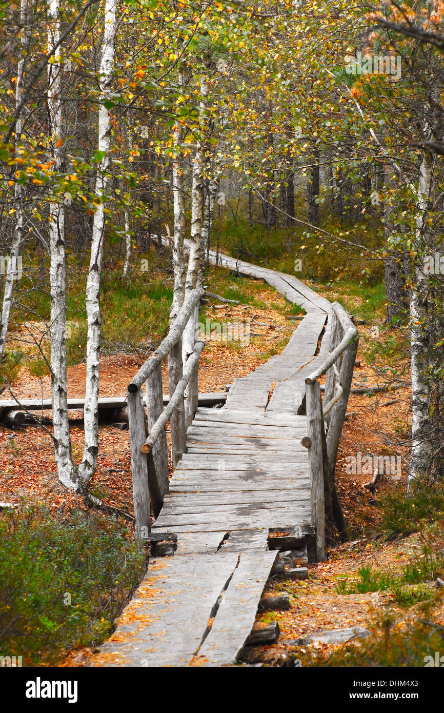 Wood bridge forest hi-res stock photography and images - Alamy