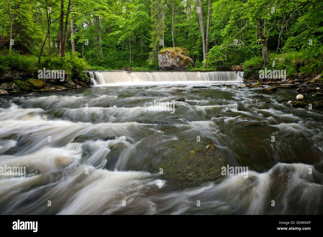 Waterfall river forest hi-res stock photography and images - Alamy