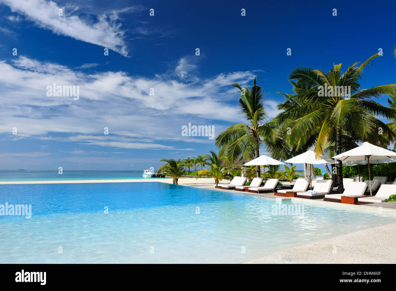 Luxury tropical swimming pool Stock Photo - Alamy