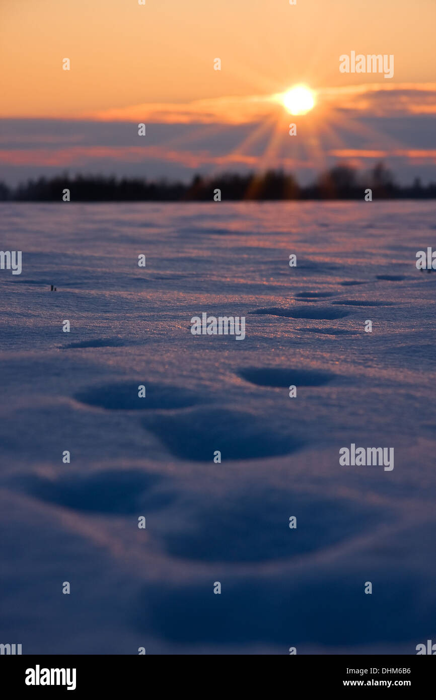 Field snow winter hi-res stock photography and images - Alamy