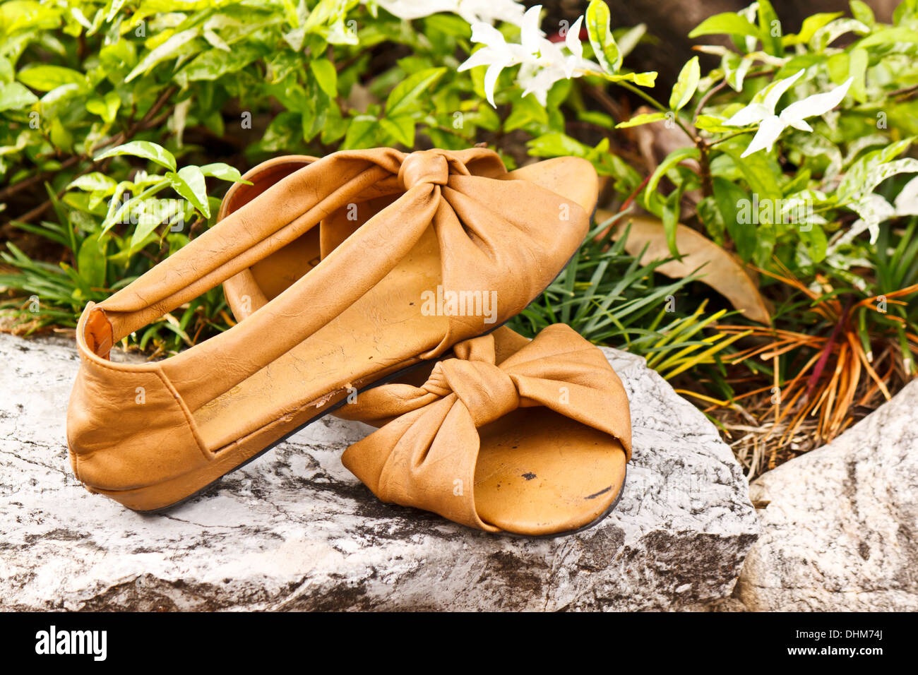 Tennis shoe grass hi-res stock photography and images - Alamy