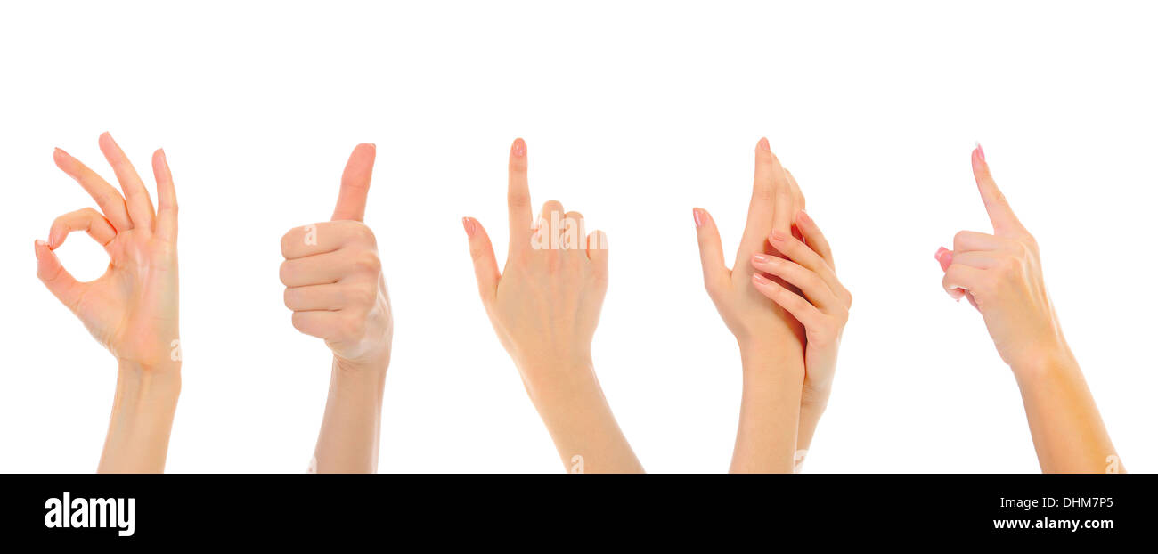 Hand on white backgroud Stock Photo - Alamy