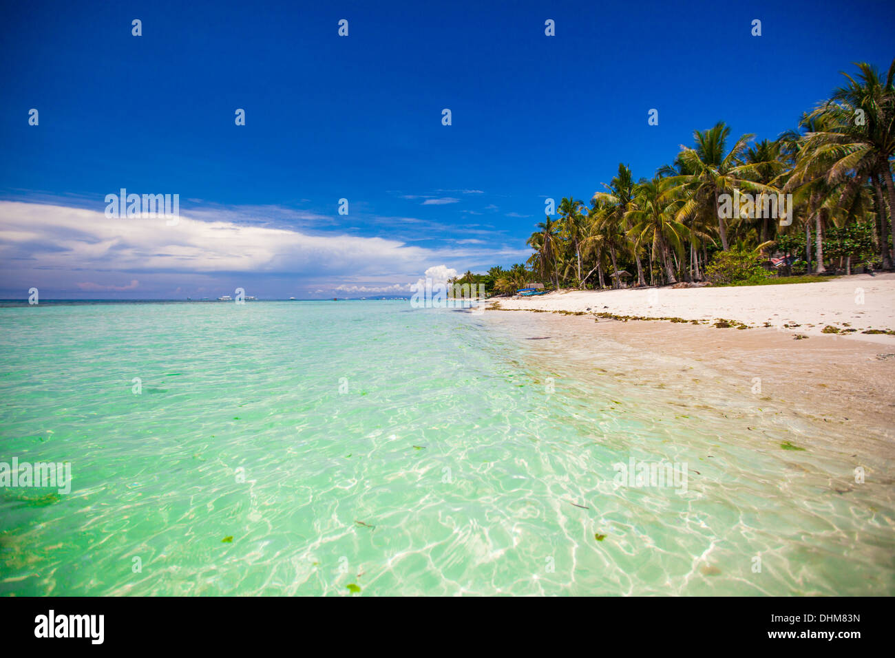 Perfect tropical beach with turquoise water and white beache Stock ...