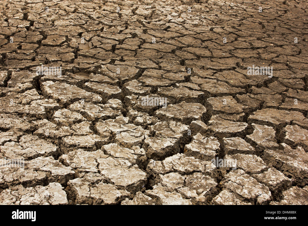 Dry soil Arid Stock Photo - Alamy