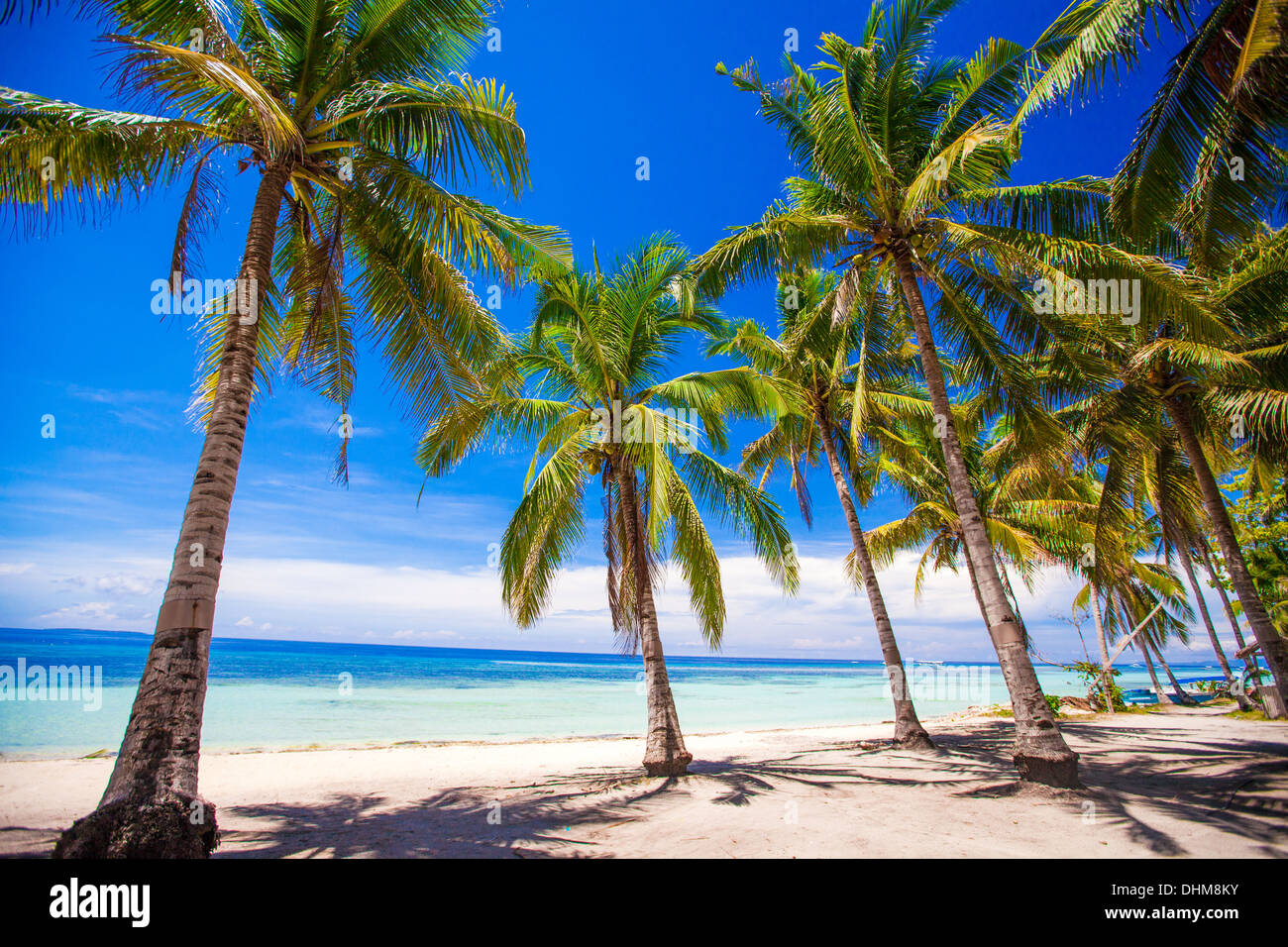 Tropical beach with beautiful palms and white sand, Philippines Stock ...