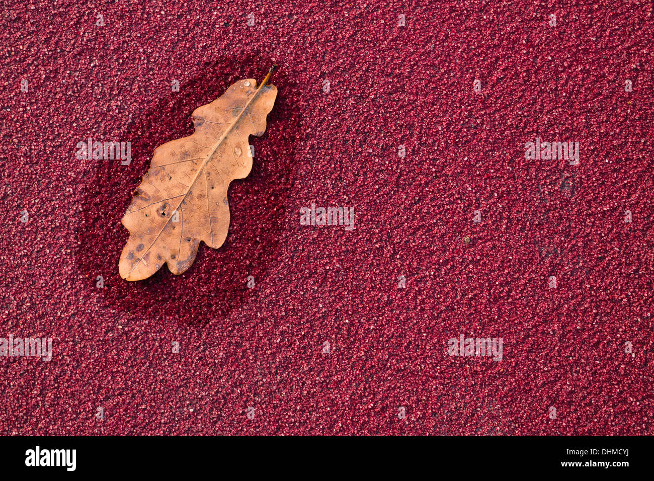 Rough leaf hi-res stock photography and images - Alamy