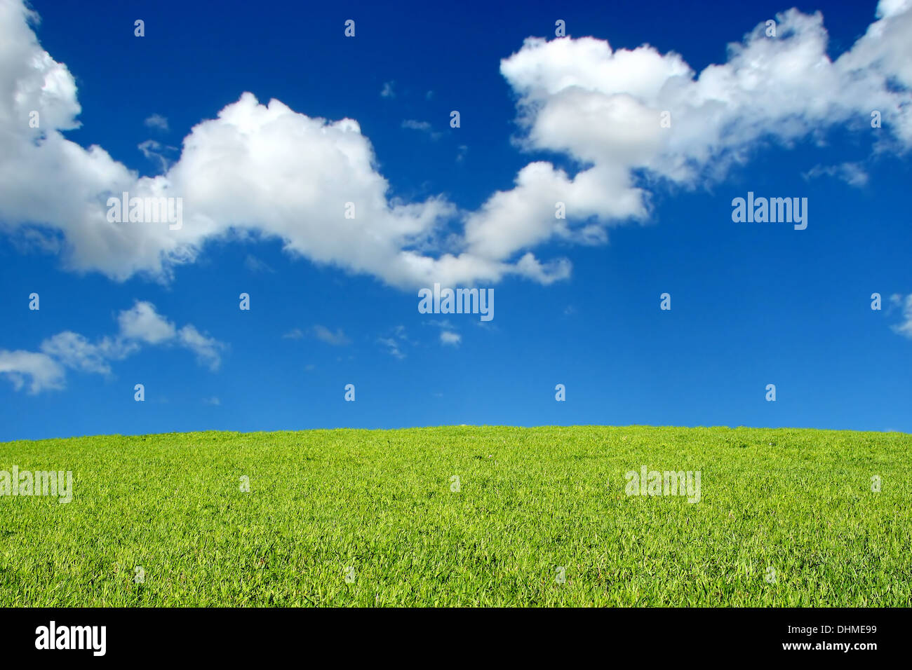 Field with sky hi-res stock photography and images - Alamy