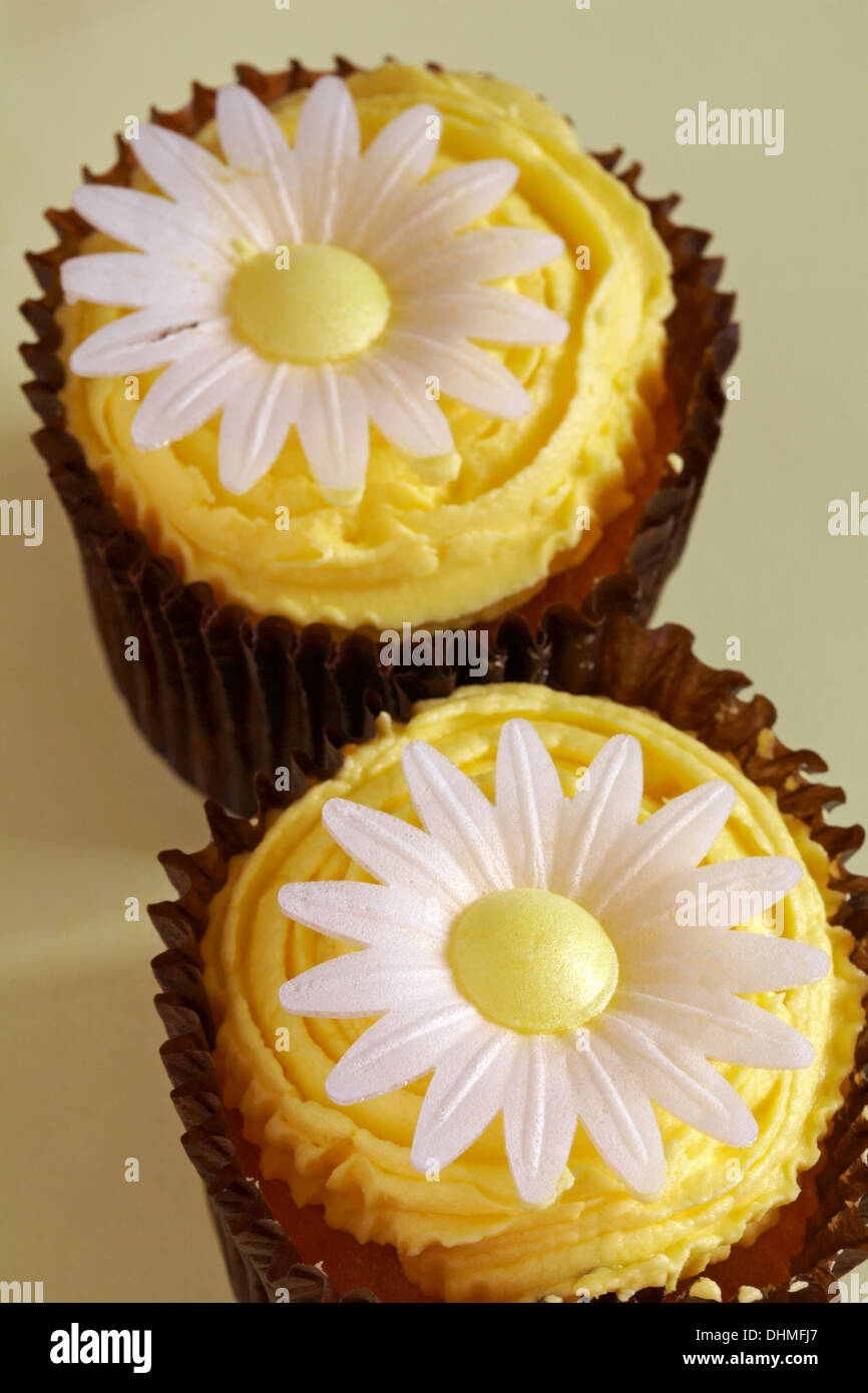 two lemon daisy cupcakes set on pale yellow background Stock Photo - Alamy