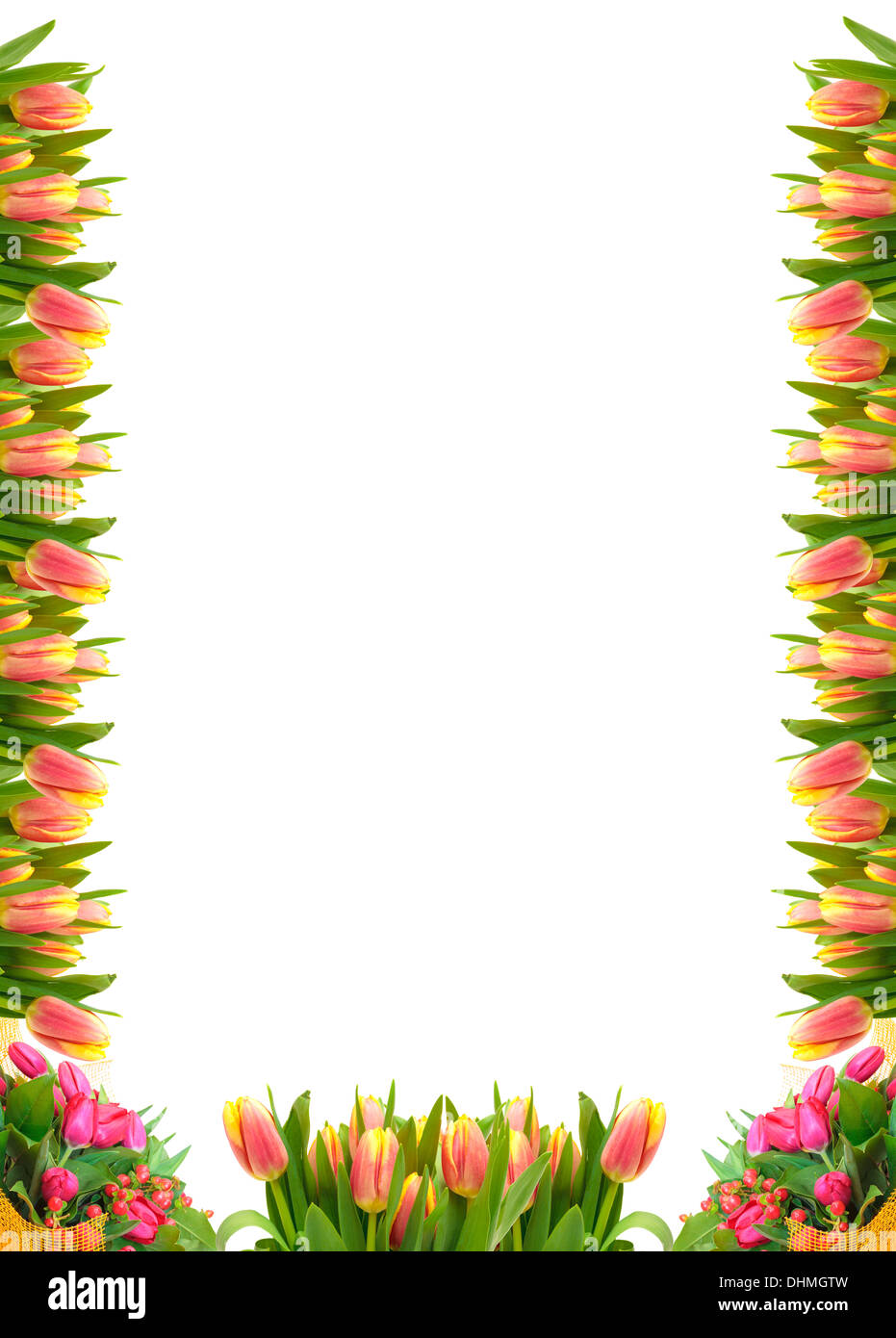 Frame of Tulip Flowers Stock Photo - Alamy