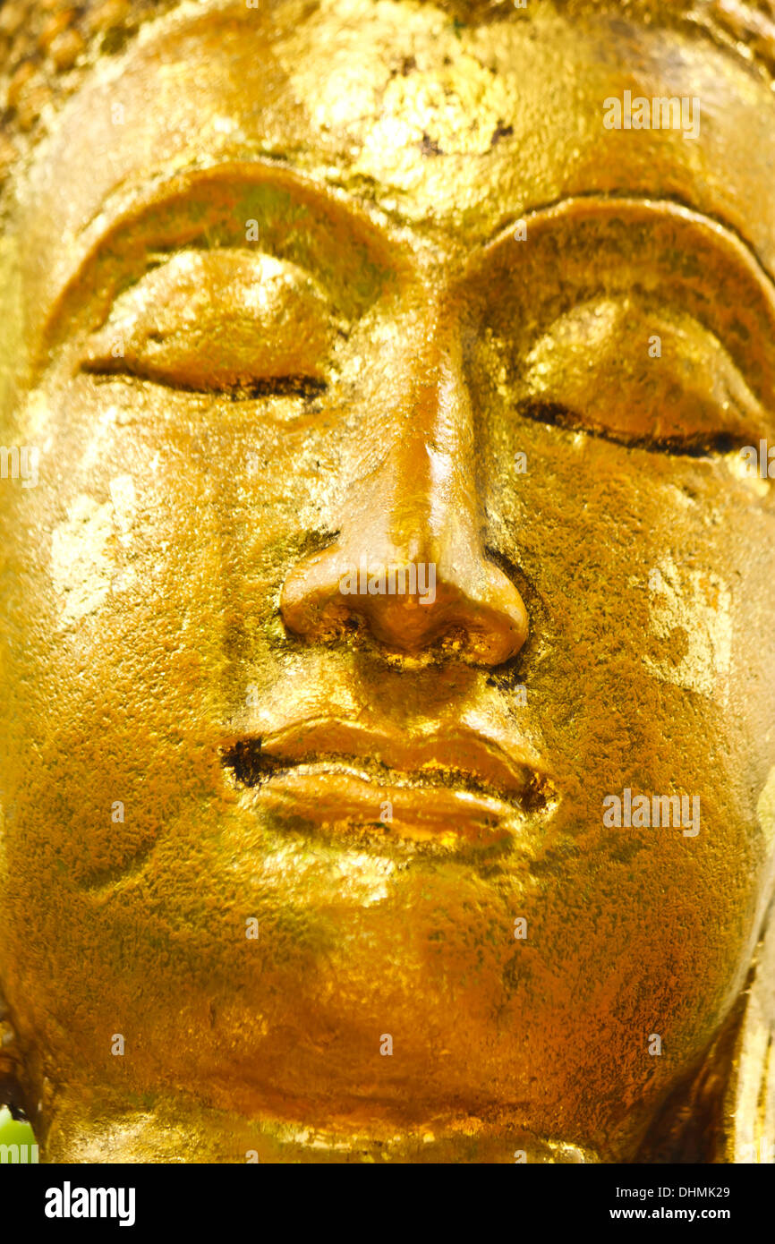 Face of wisdom hi-res stock photography and images - Alamy