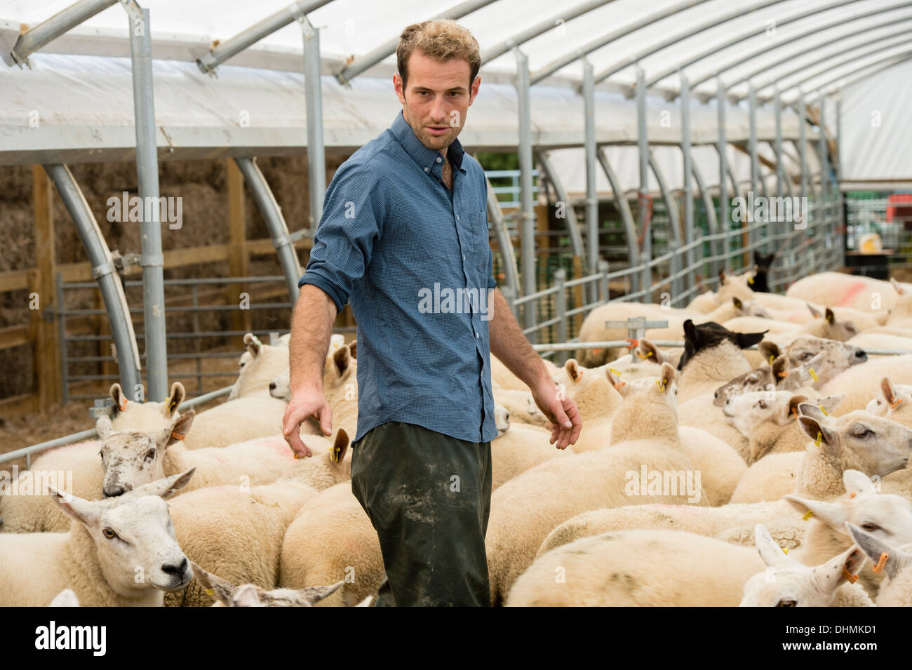 Livestock worker hi-res stock photography and images - Alamy