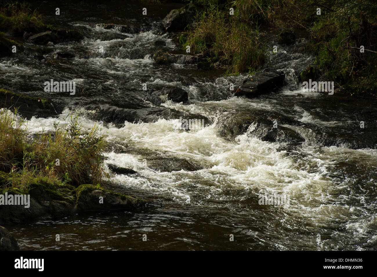 River severn powys hi-res stock photography and images - Alamy