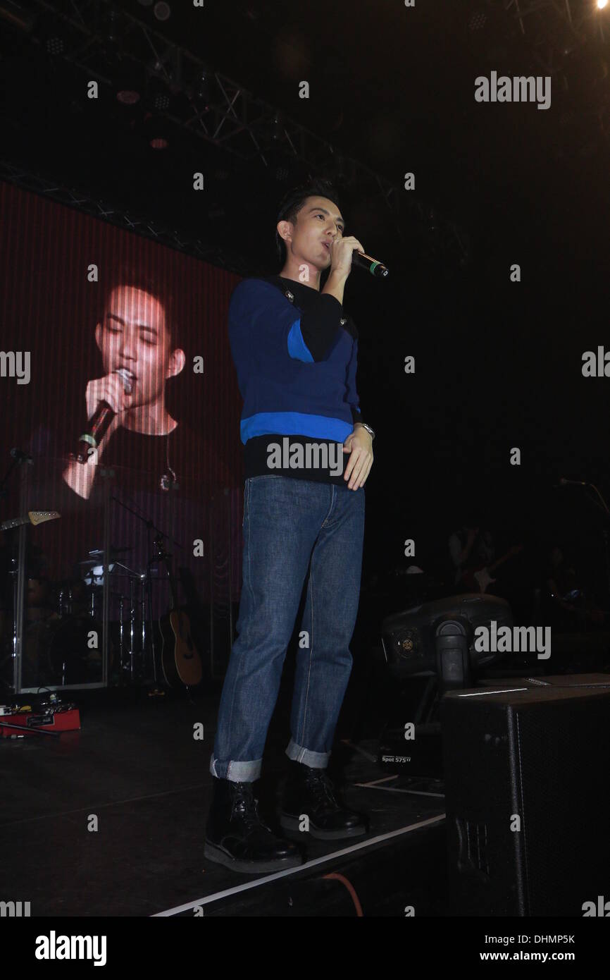 Taipei, China. 8th Nov, 2013. Singer Yoga Lin performs at his charity ...