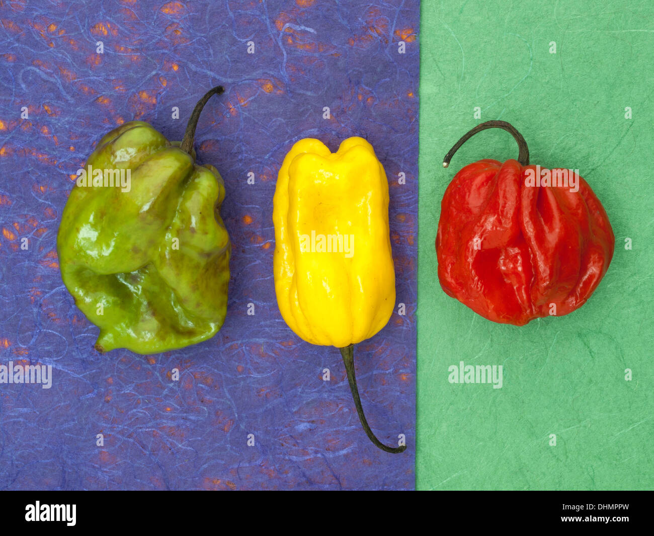 Chilli Peppers on coloured paper backgrounds Stock Photo - Alamy