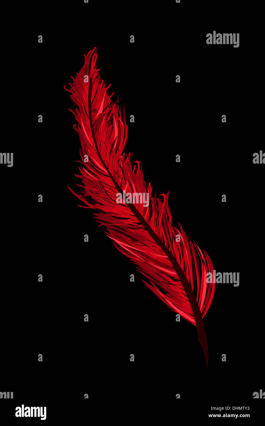 Feather wrap hi-res stock photography and images - Alamy