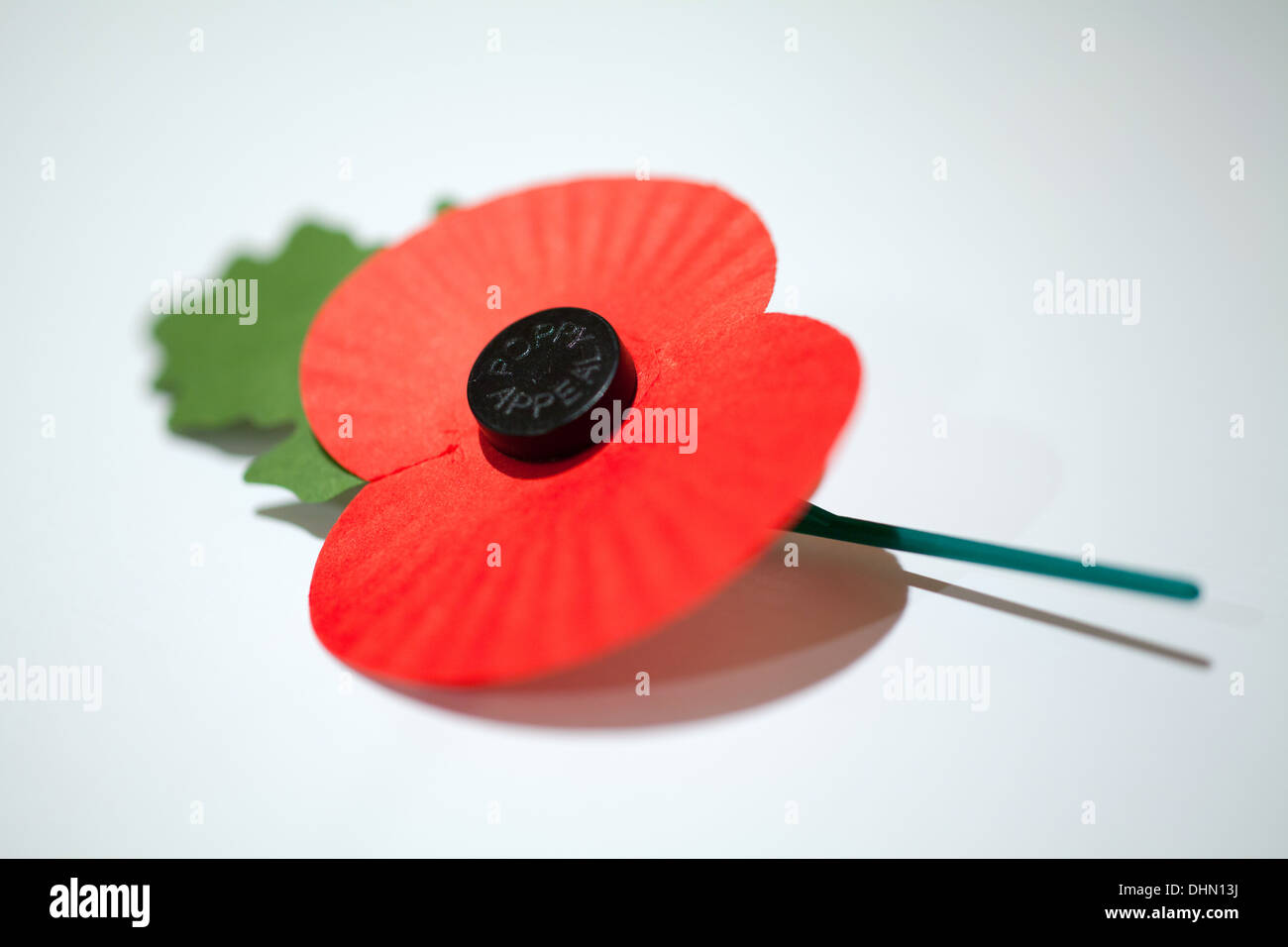 Poppy appeal poppy on white background Stock Photo - Alamy