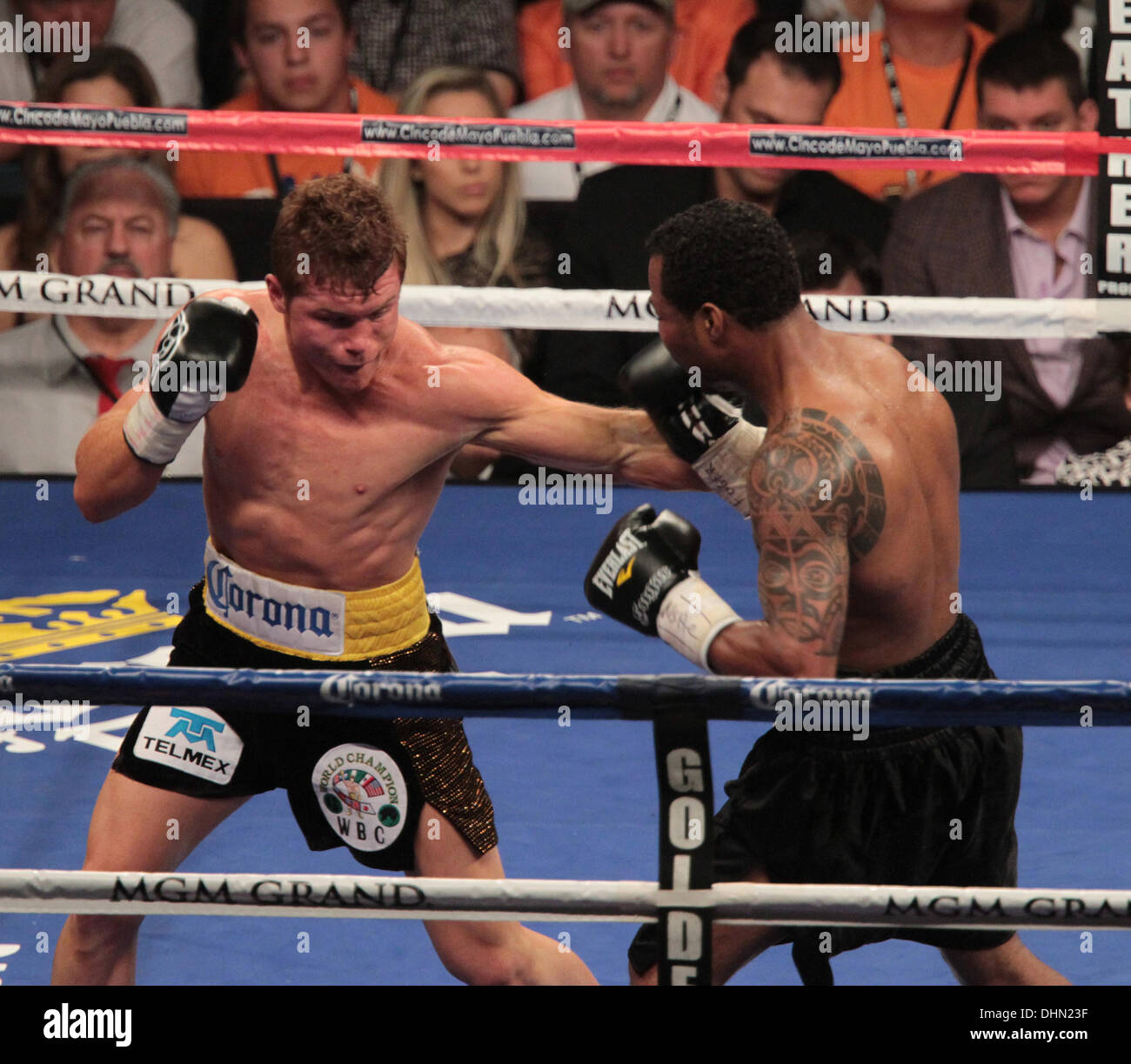 WBC super welterweight title fight - Saul 'Canelo' Alvarez v 'Sugar ...