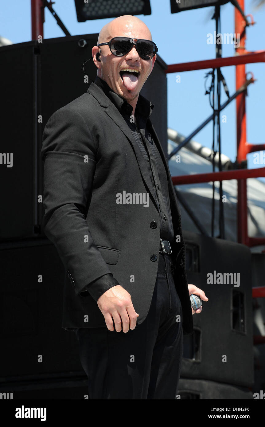 Pitbull Rapper Beach