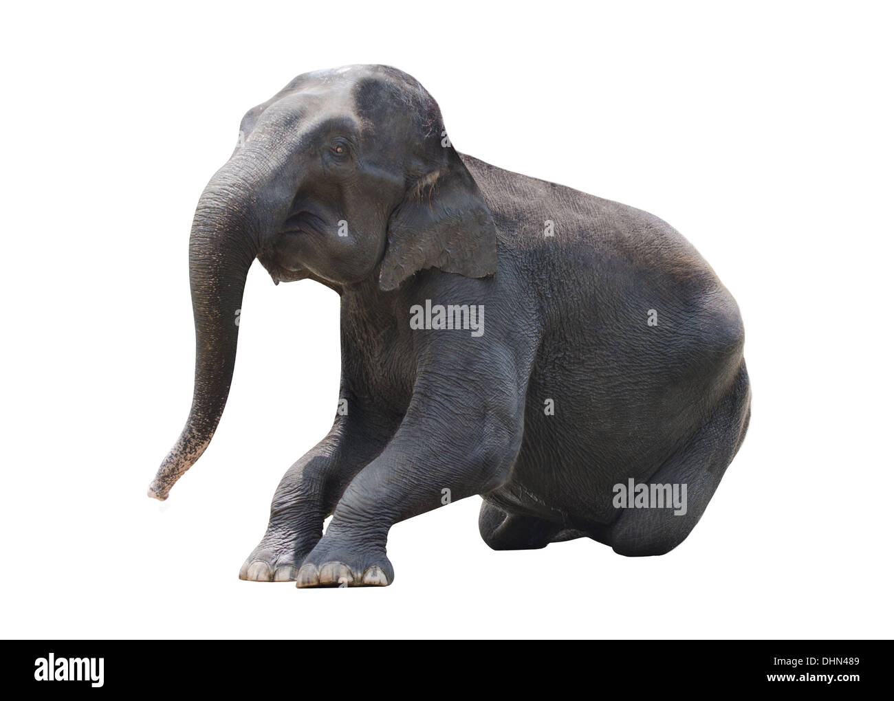 Sitting position Cut Out Stock Images & Pictures - Alamy