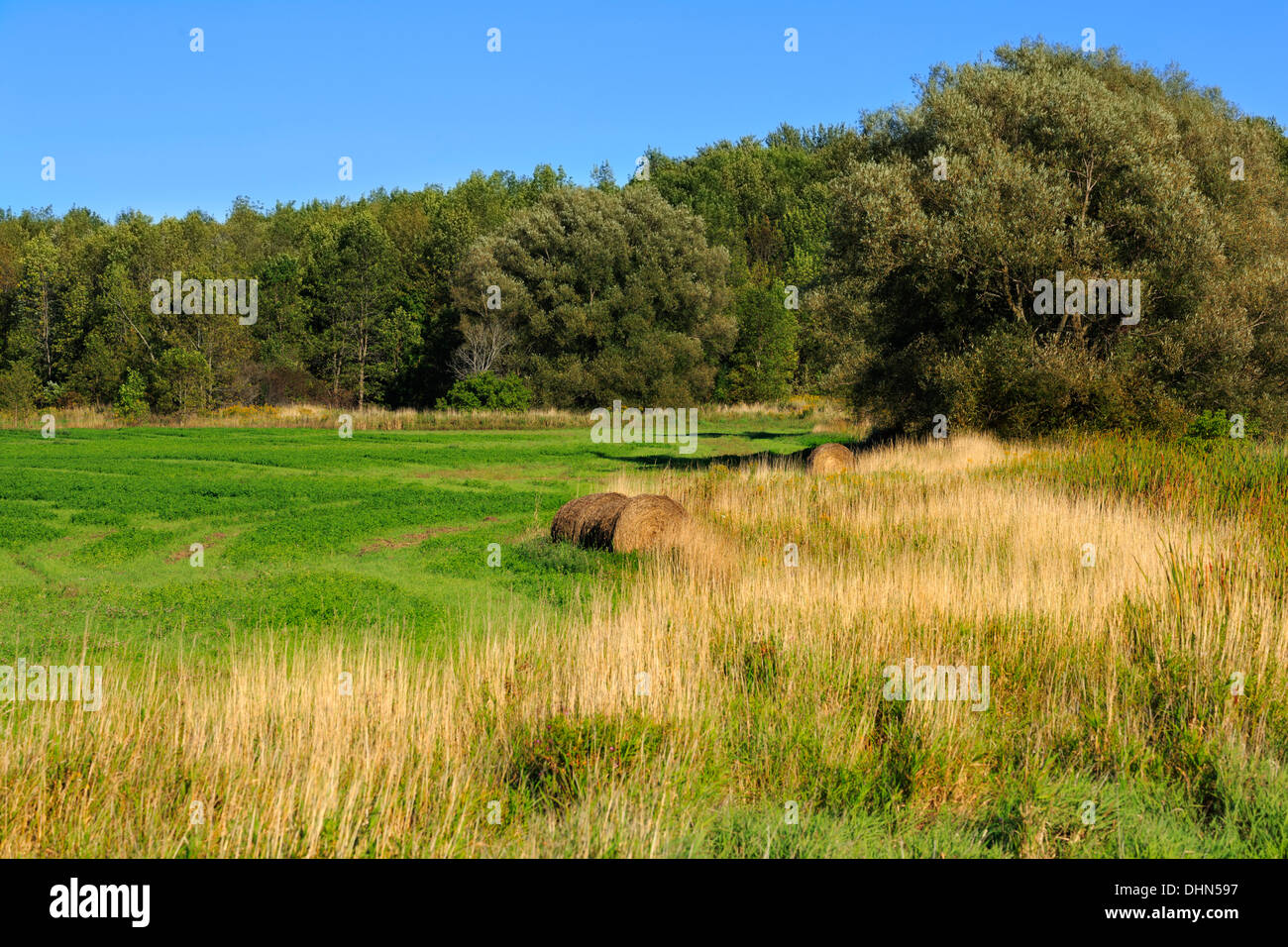 Cut straw field hi-res stock photography and images - Alamy
