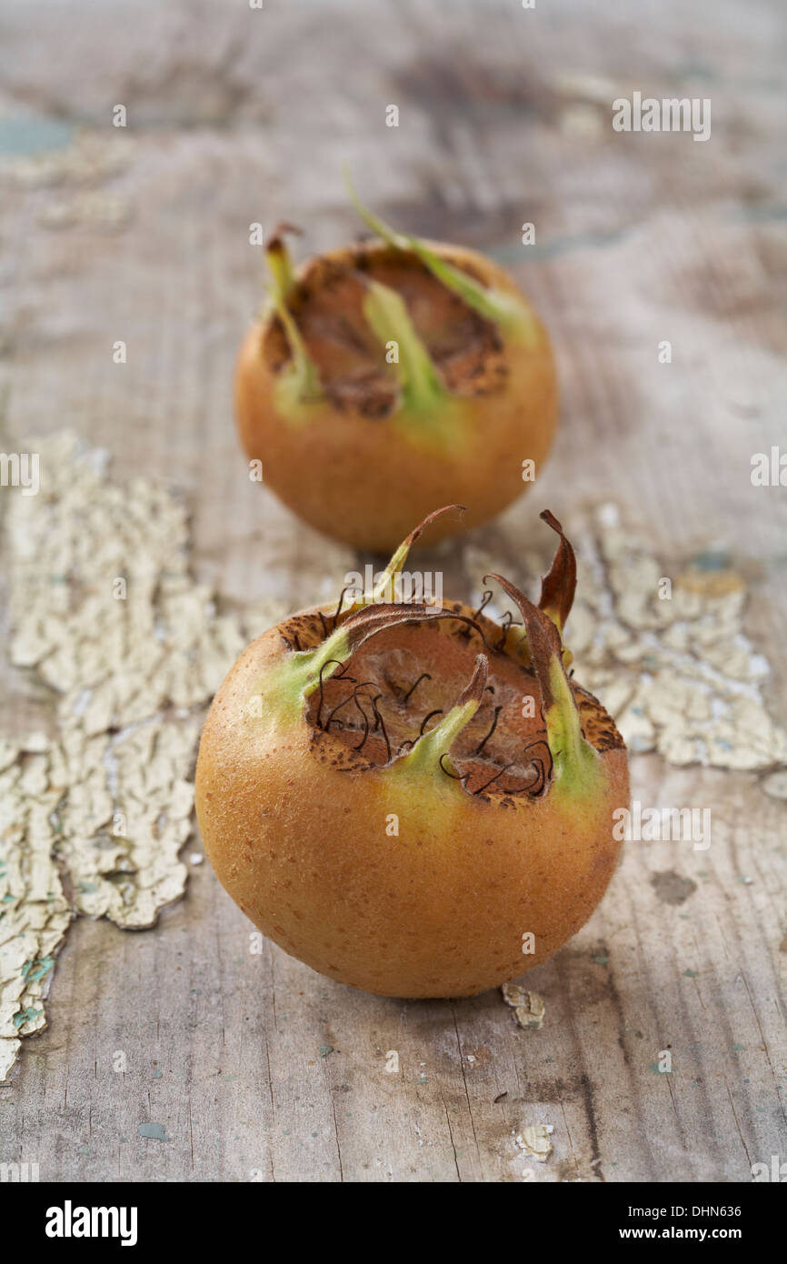 Medlar tree fruit hi-res stock photography and images - Alamy