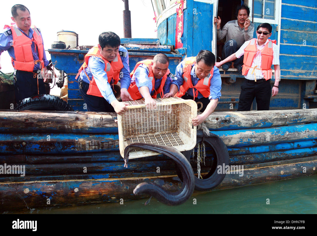 Rare Eel Released into the Yellow Sea The staff of the marine fisheries ...