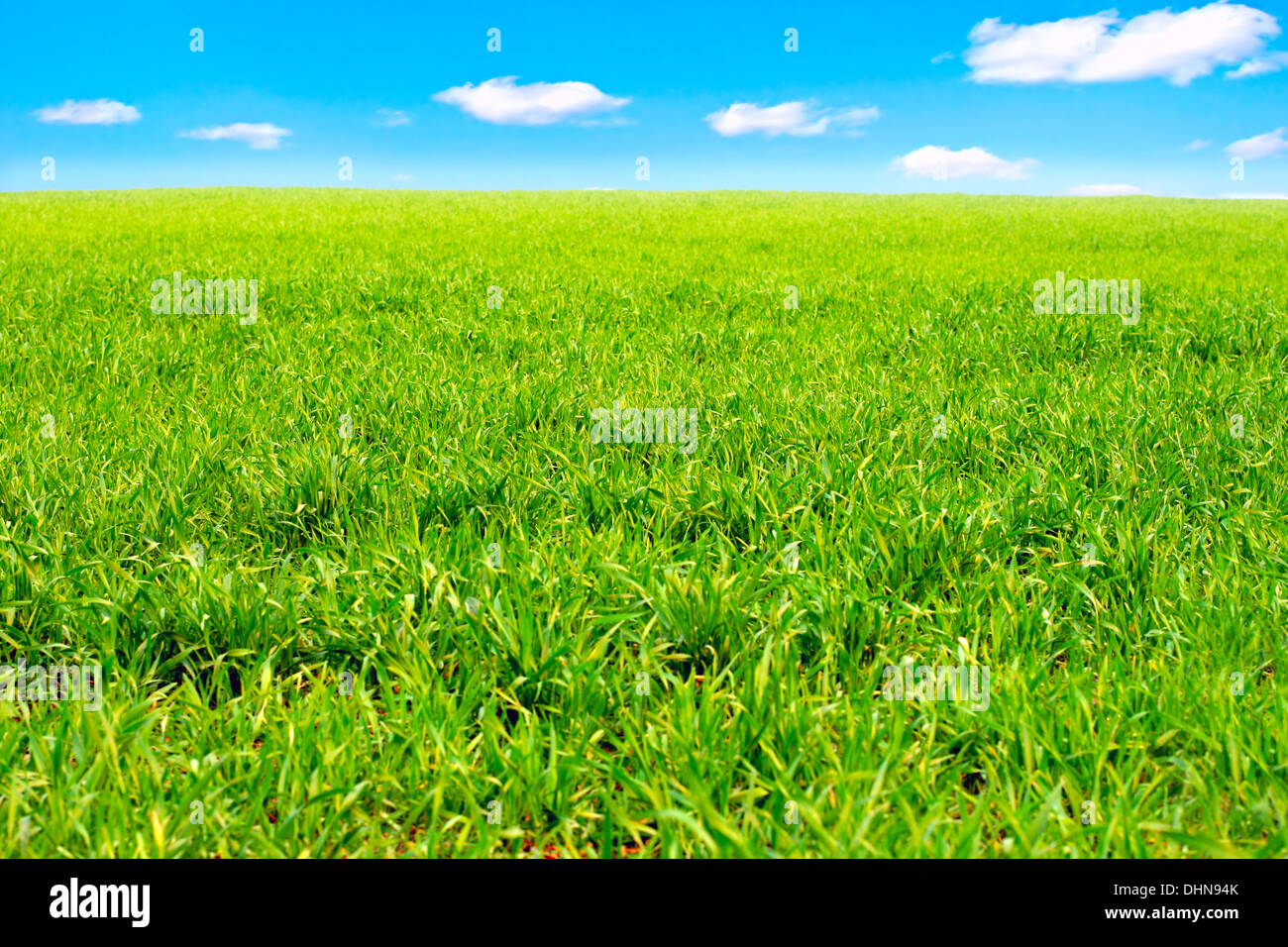 Broad field of view hi-res stock photography and images - Alamy