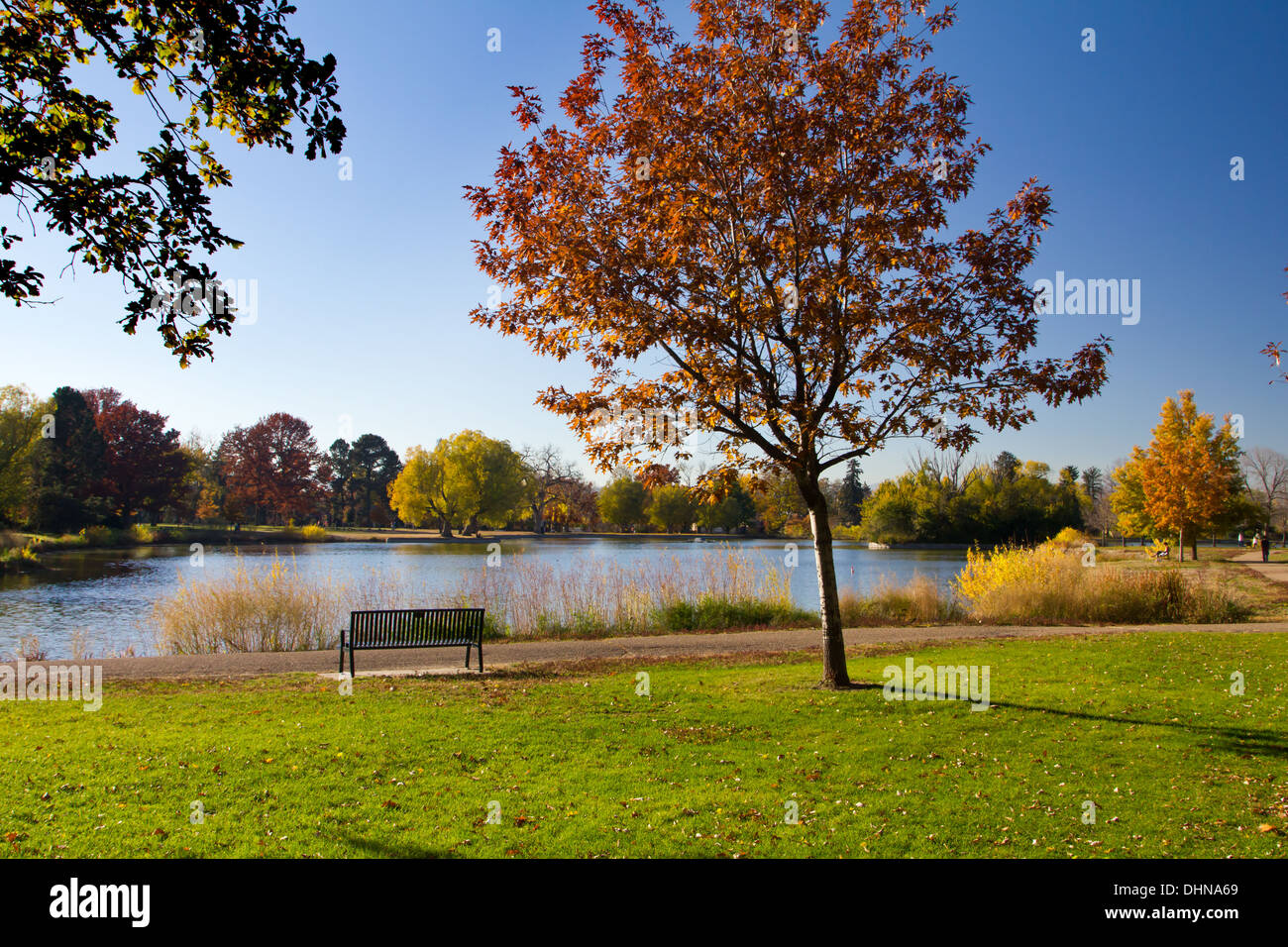 Bench empty lake pond hi-res stock photography and images - Alamy
