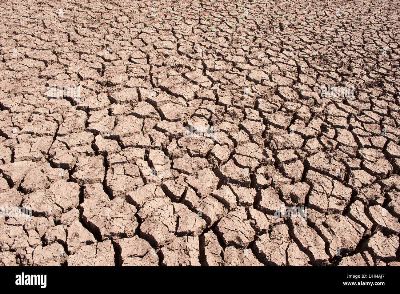 Mud soil hi-res stock photography and images - Alamy