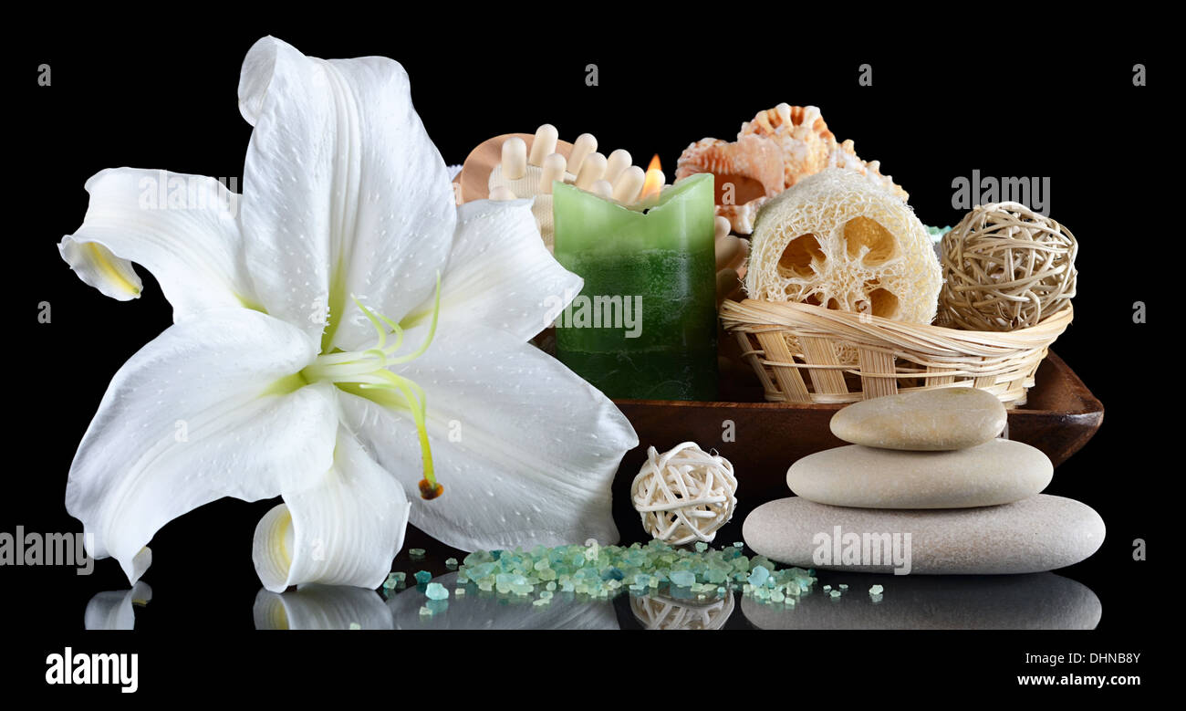 Lily of the sea hi-res stock photography and images - Alamy