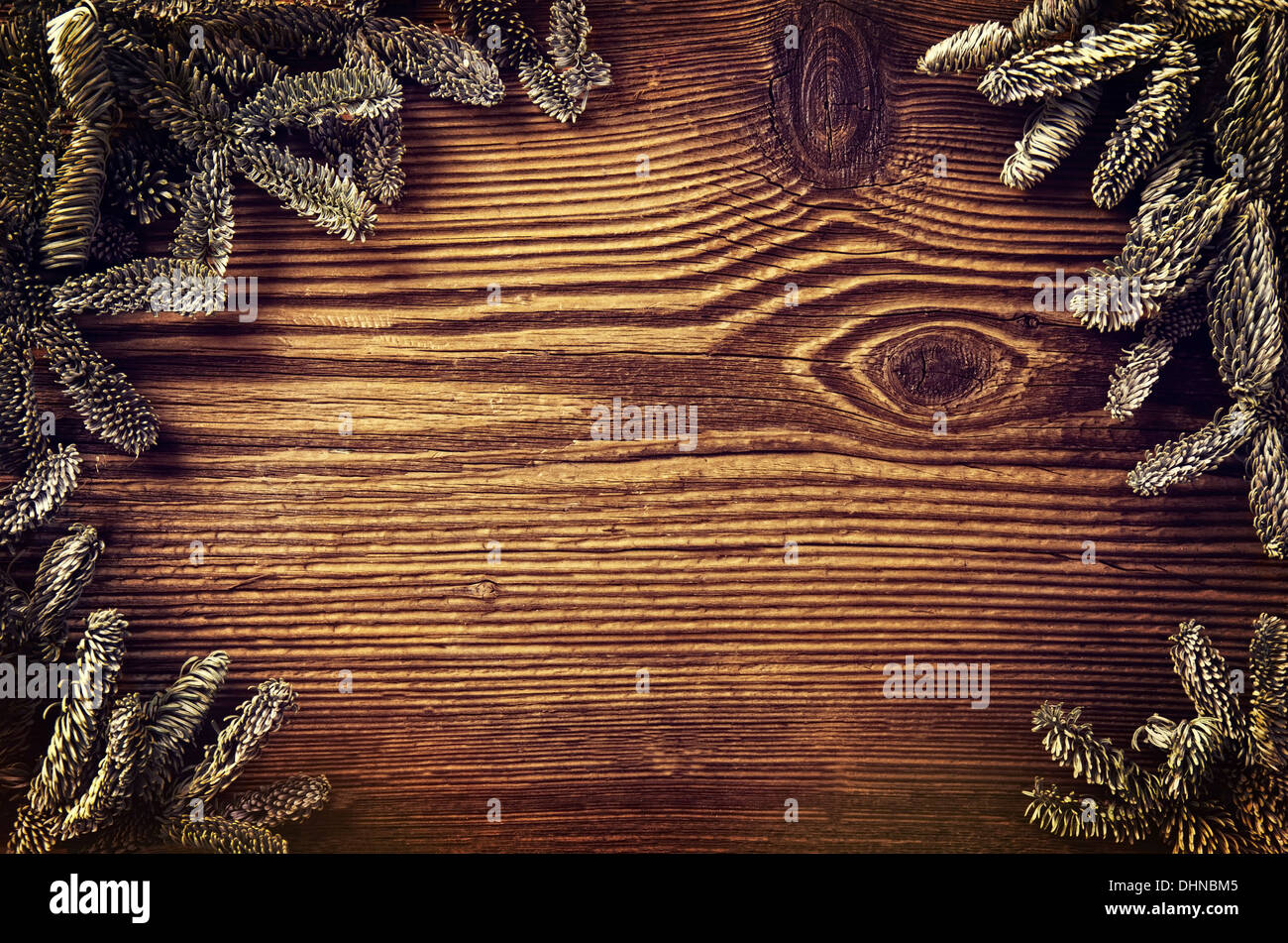 Fit tree branches hi-res stock photography and images - Alamy