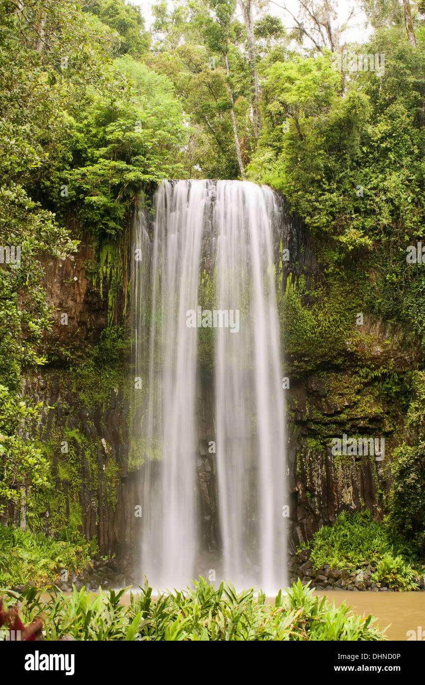 Millaa Millaa Falls in Queensland Stock Photo - Alamy