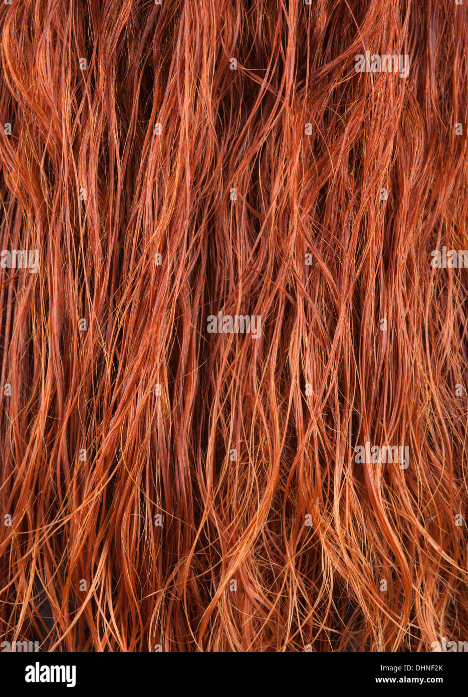 Shampoo texture hi-res stock photography and images - Alamy