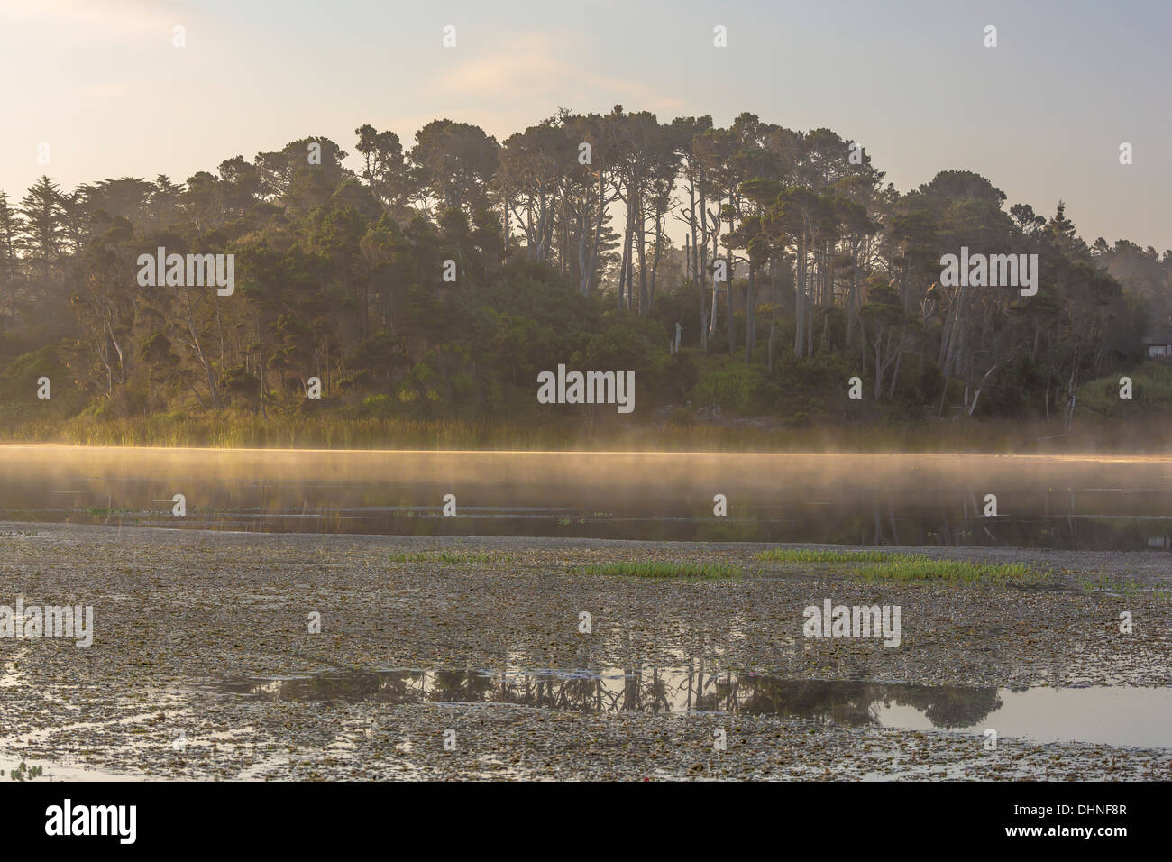 Misty morning on Lake Cleone in MacKerricher State Park, located on the ...