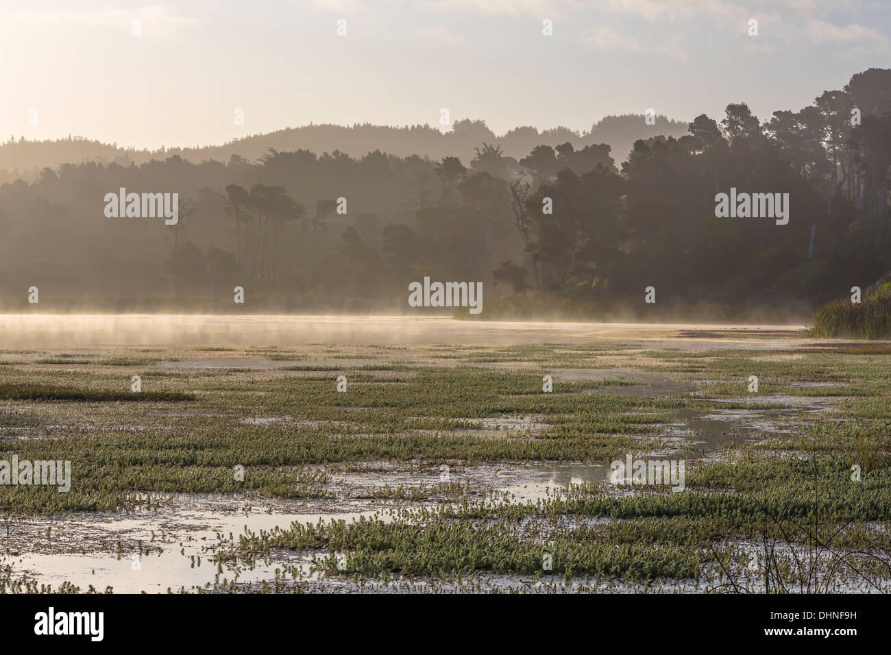 Misty morning on Lake Cleone in MacKerricher State Park, located on the ...