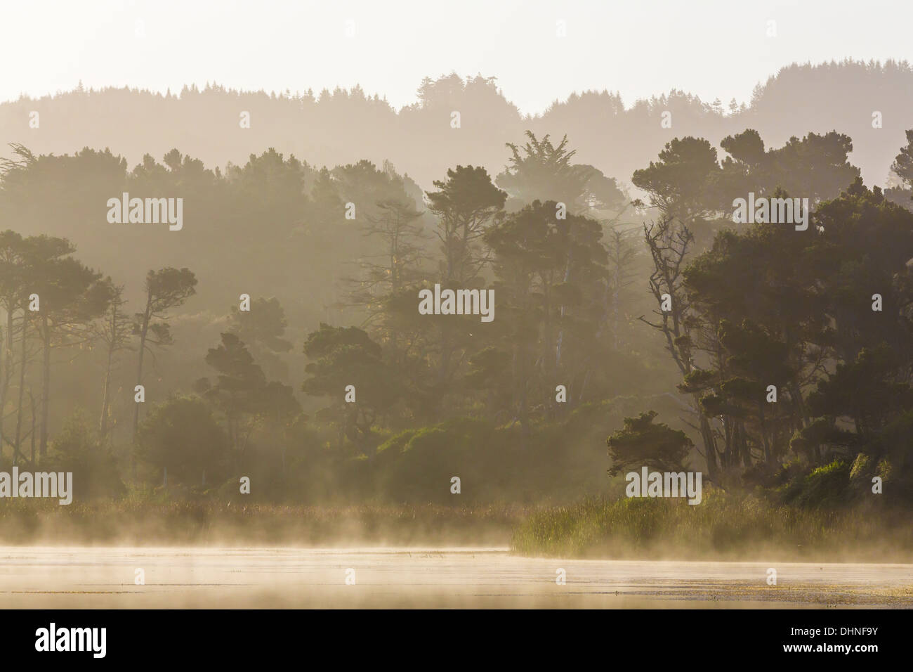 Misty morning on Lake Cleone in MacKerricher State Park, located on the ...