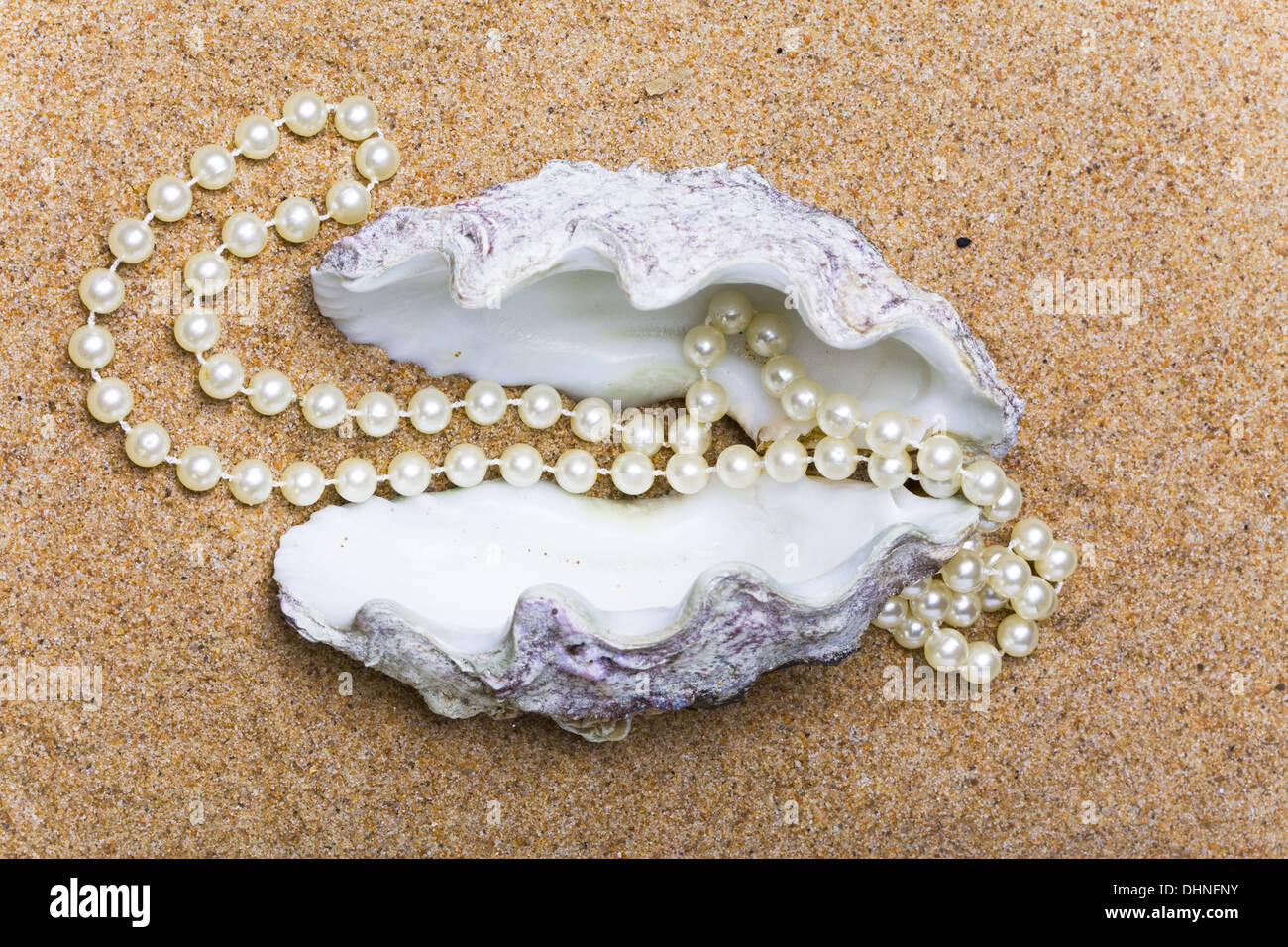 The shell with a pearl beads Stock Photo - Alamy